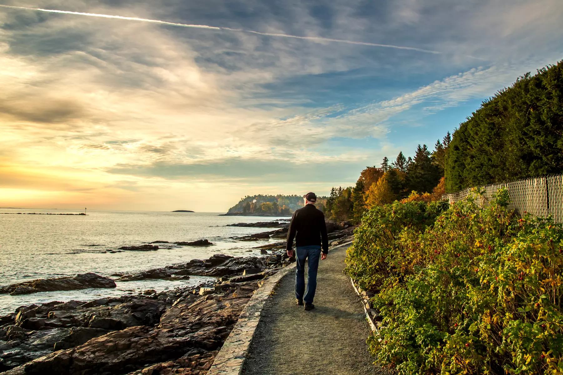 ຜູ້ຊາຍຍ່າງຢູ່ໃນເສັ້ນທາງ Bar Harbor Maine Shore Path Trail ຢູ່ທີ່ Sunrise ໃນລະດູໃບໄມ້ປົ່ງ