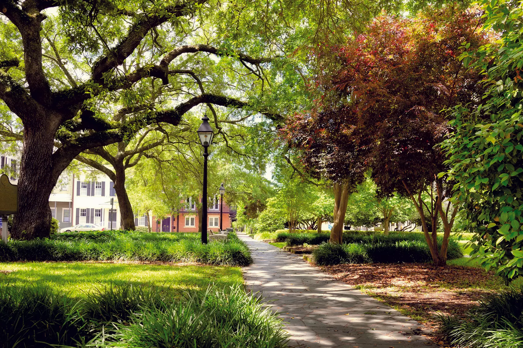 Ardal hanesyddol yn ystod cwymp yn Savannah, Georgia