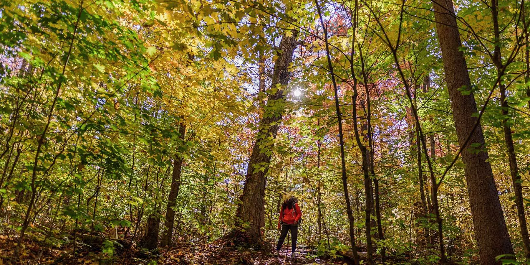 9 Yakanakisa Fall Hikes muU.S. neCanada