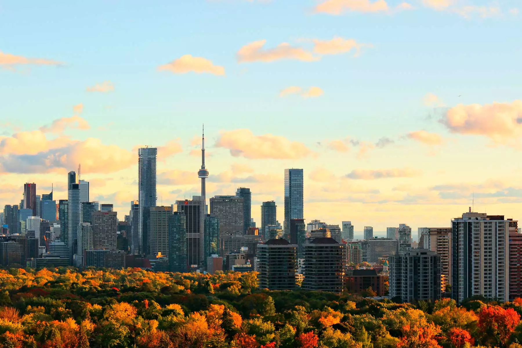 L'horitzó de Toronto amb el centre de la ciutat, el centre de la ciutat i el dosser d'arbres urbans il·luminats per la posta de sol