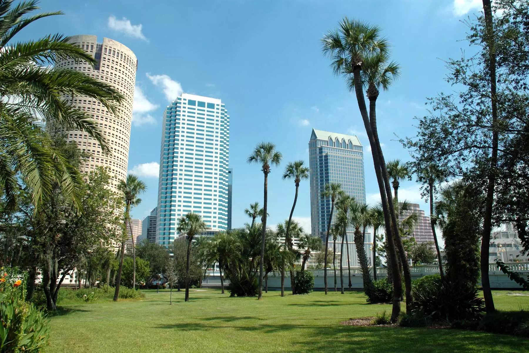 Trung tâm thành phố Tampa nhìn từ Plant Park