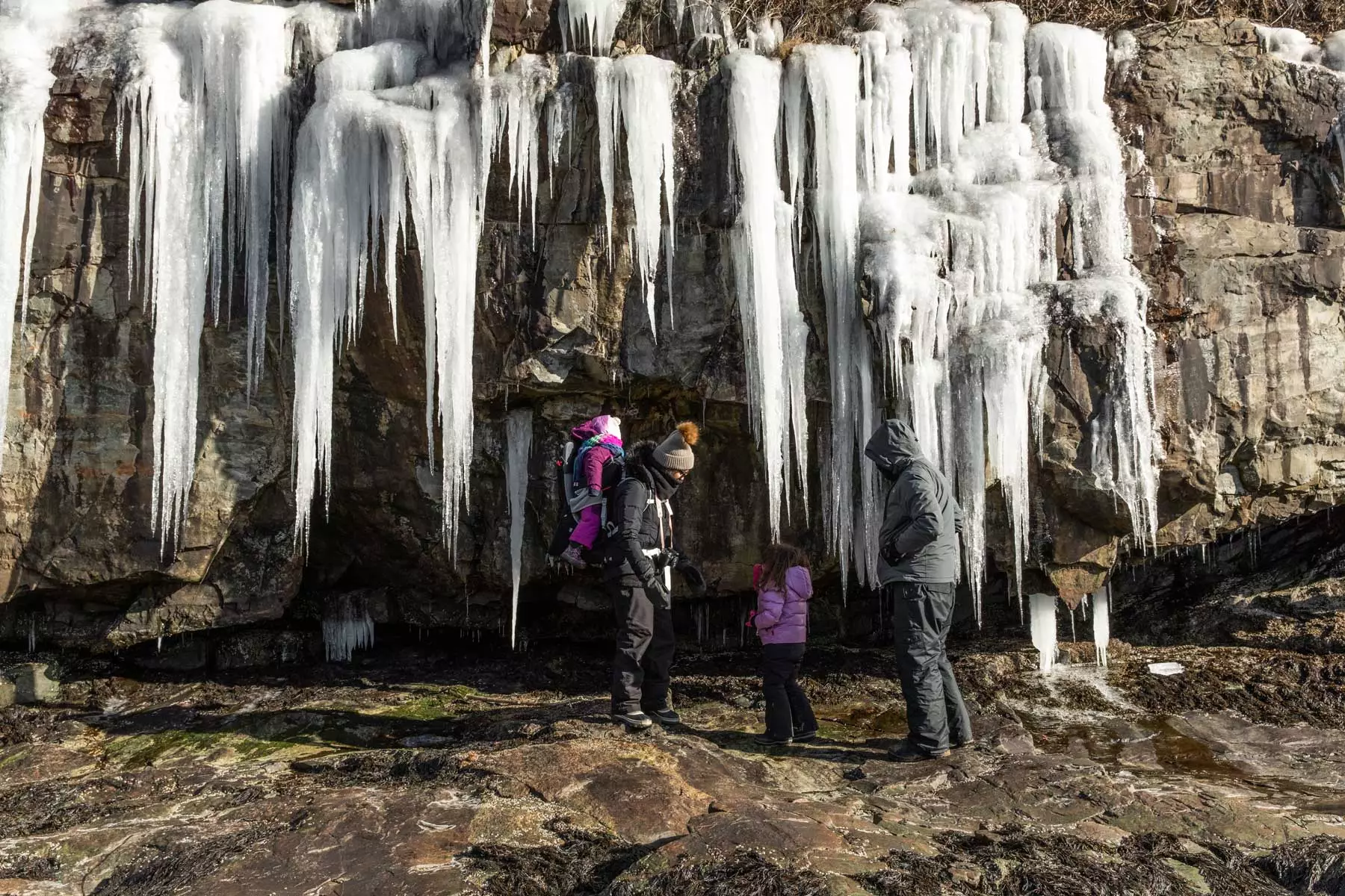 Familie som utforsker sandstranden om vinteren i Acadia