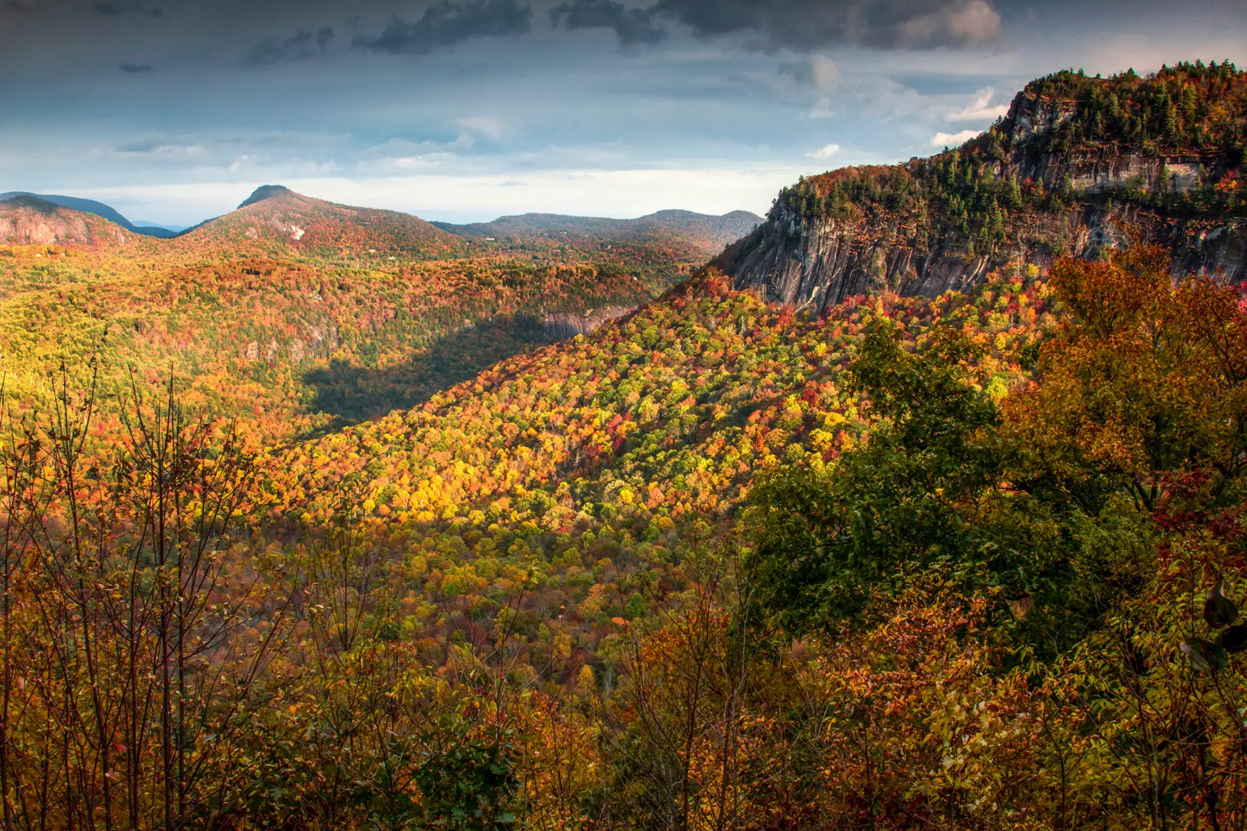 Efterårsfarvede træer i Cashiers, North Carolina