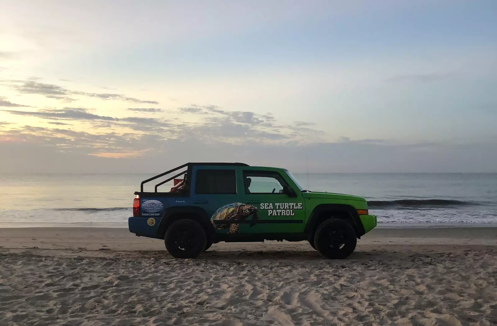 Hilton Head Sea Turtle Patrol