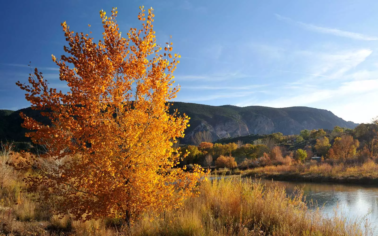 ពណ៌សរទរដូវនៅ Taos រដ្ឋ New Mexico