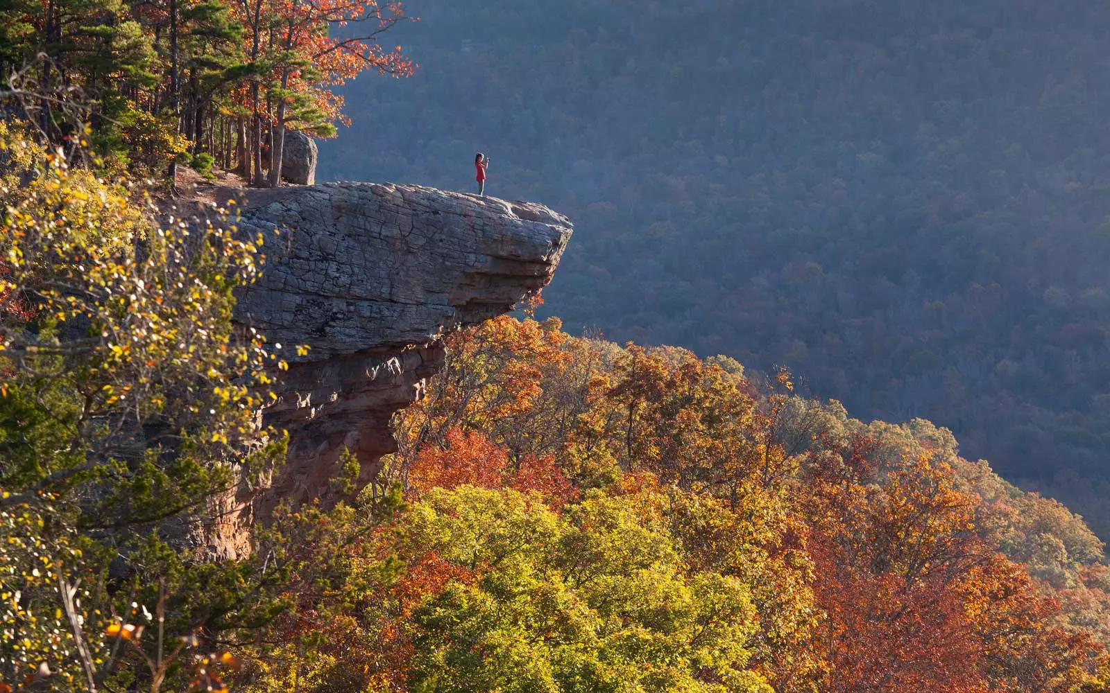 ស្លឹកឈើជ្រុះនៅព្រៃជាតិ Ozark រដ្ឋ Arkansas