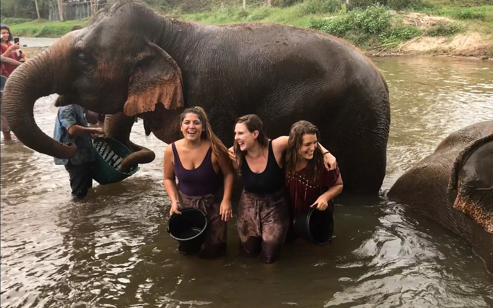 elefant naturpark thailand