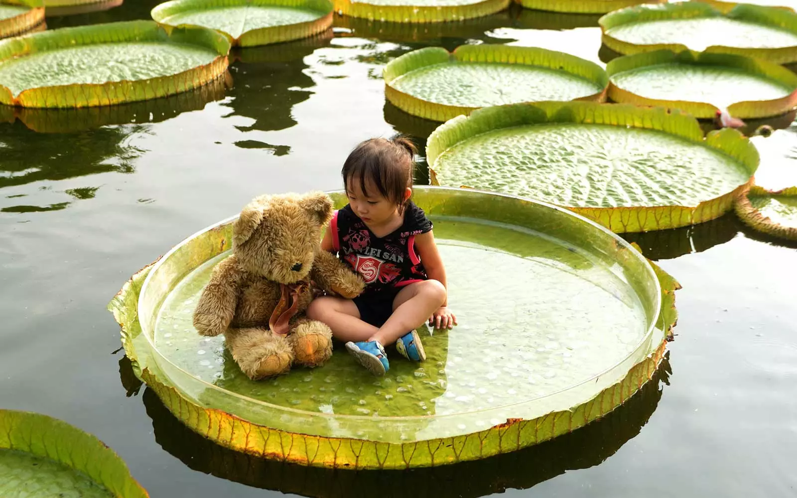 Ein kleines Mädchen ruht auf einem riesigen Blatt einer Victoria während einer Wasserpflanzenausstellung im Shuangxi Park in Taipei, Taiwan im Südosten Chinas