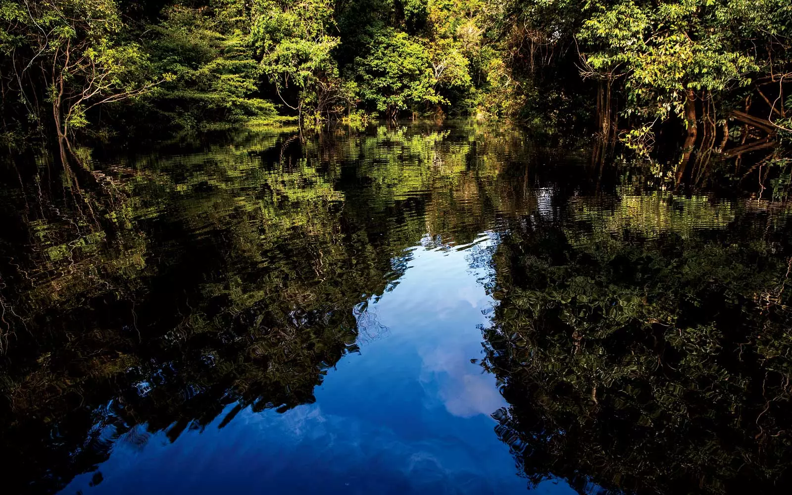 Rio Negro, Brasil