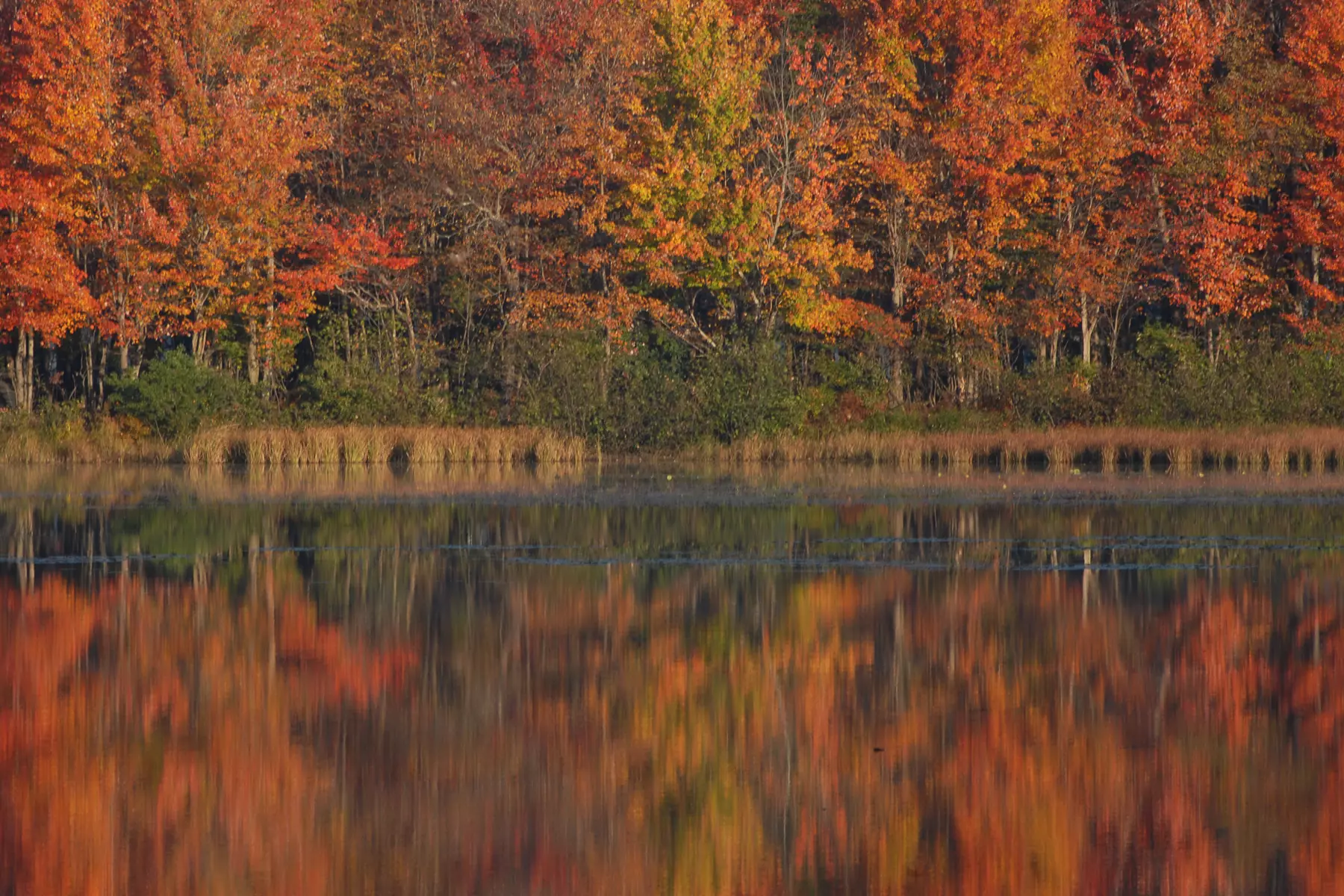 Imaxes dalgúns dos lagos e cores do outono e da zona de Cooperstown, NY