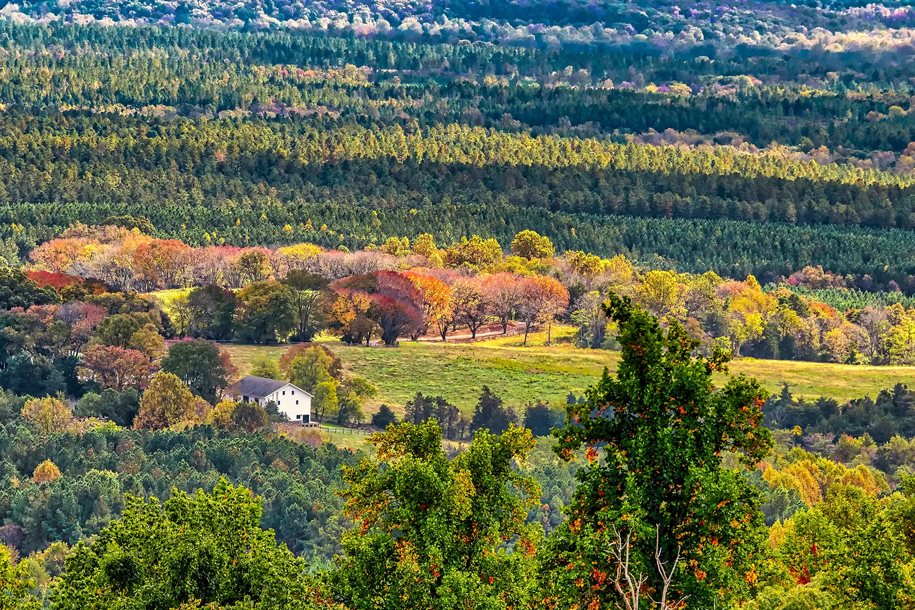 Unha vista ao lonxe dunha granxa rústica desde Carter Mountain en Charlottesville, Virginia, Estados Unidos.