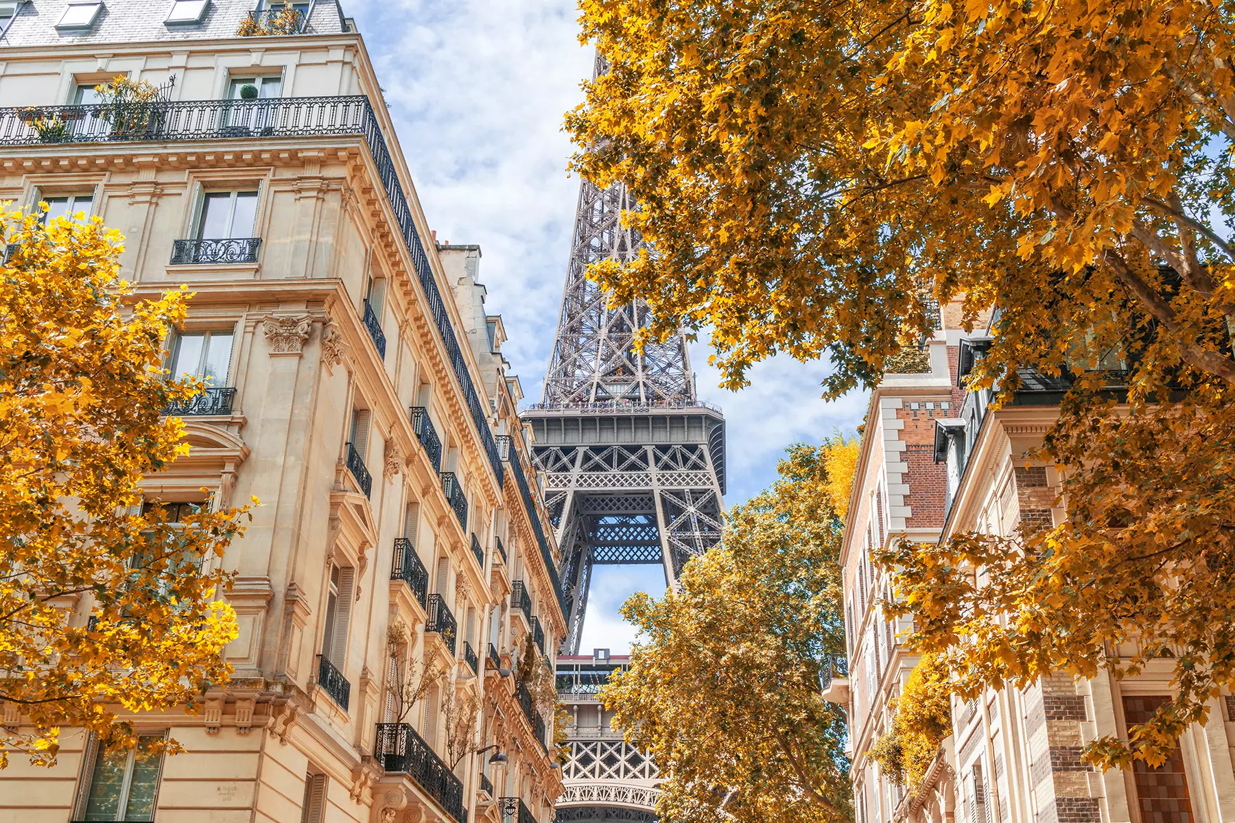 Vista de ángulo baixo da Torre Eiffel contra o ceo durante o outono