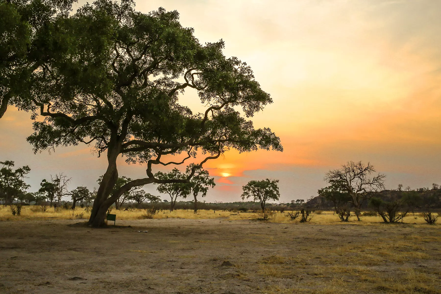 Afrika, ørken, skog, Afrika, Kruger nasjonalpark, National Wildlife Reserve