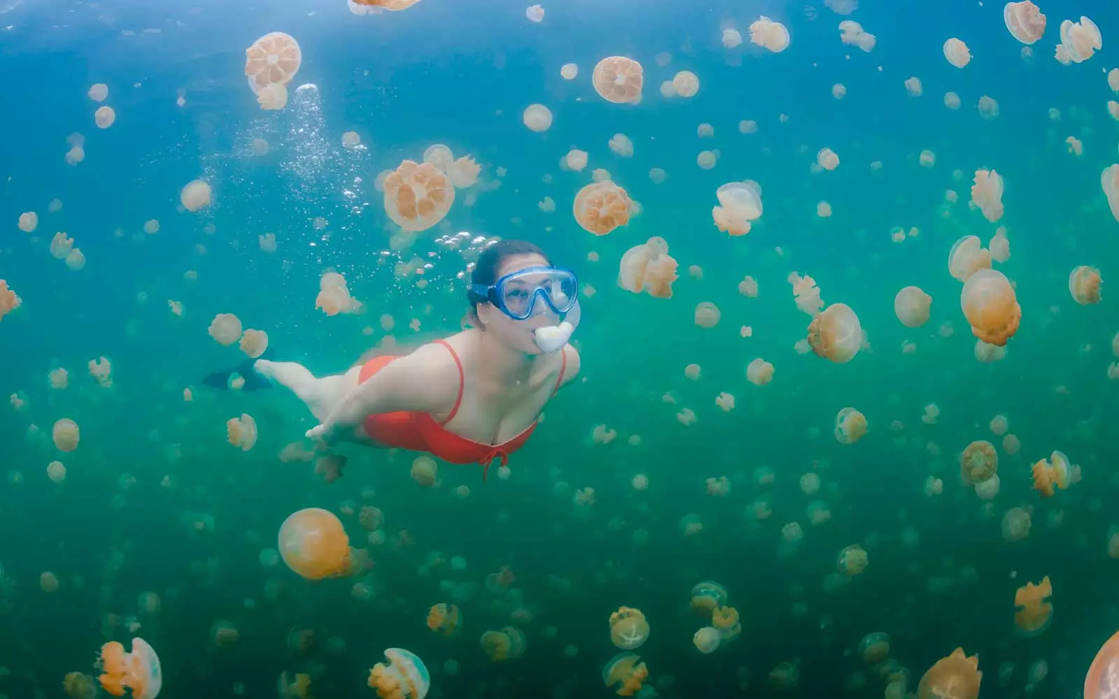 Ein Taucher schwimmt im Jellyfish Lake.
