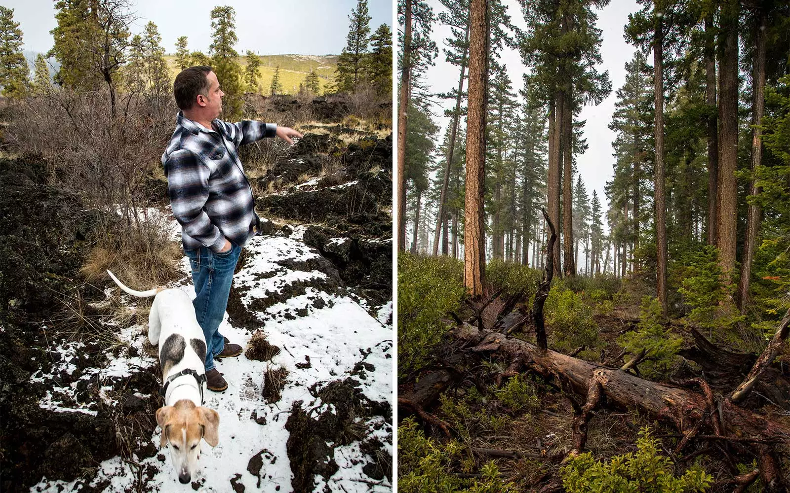 Entuziast i Bigfoot Randy Silvey në Suttle Lake, në Oregon