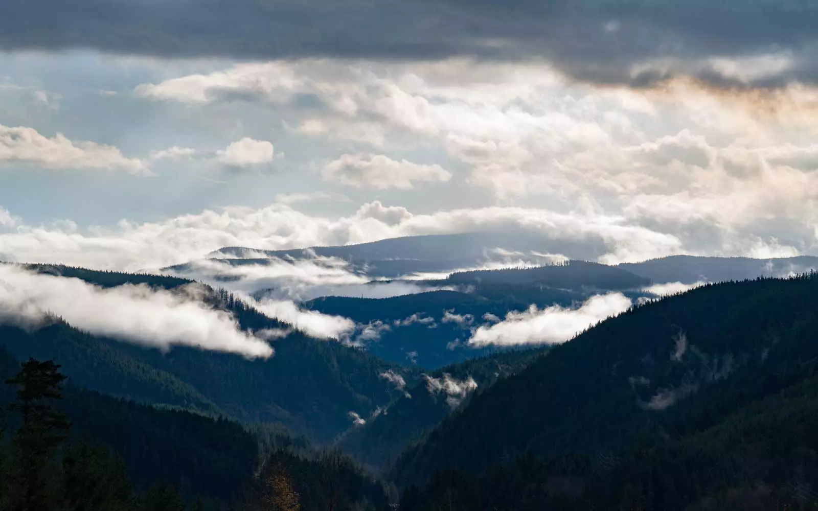 Pylli Estacada, Oregon