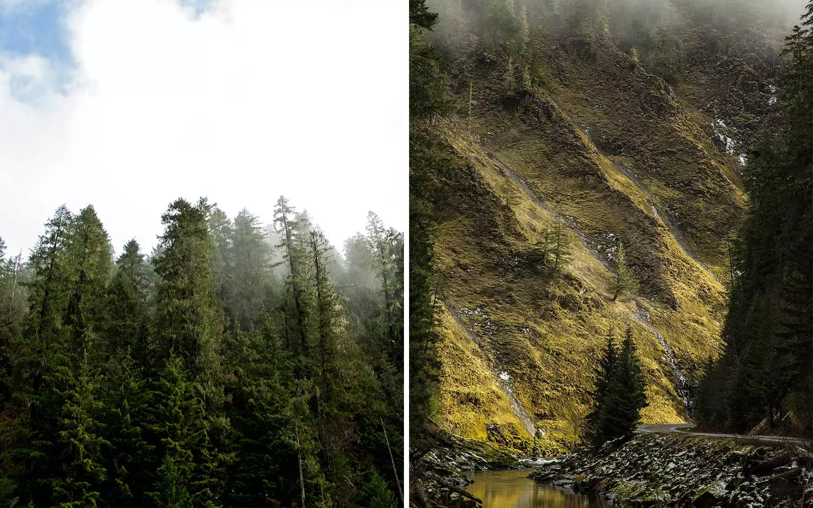 Bosque Nacional de Mount Hood