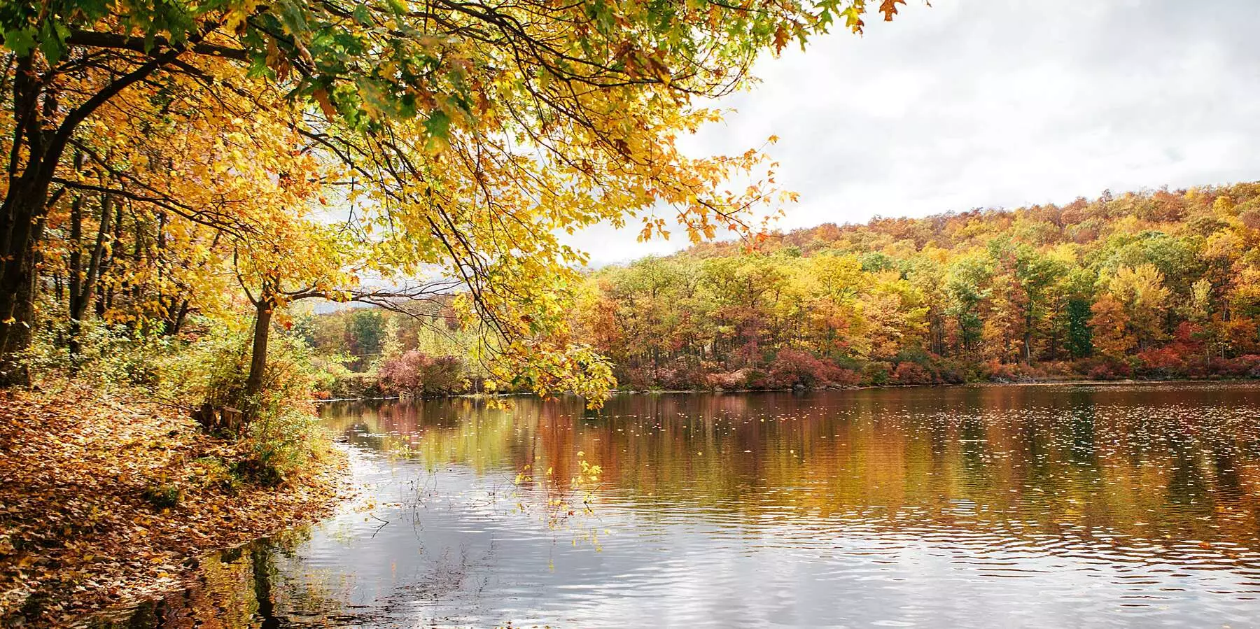 Dit Hudson Valley Hotel biedt iepenloftfilmnacht, yoga op berchtop en skilderklassen