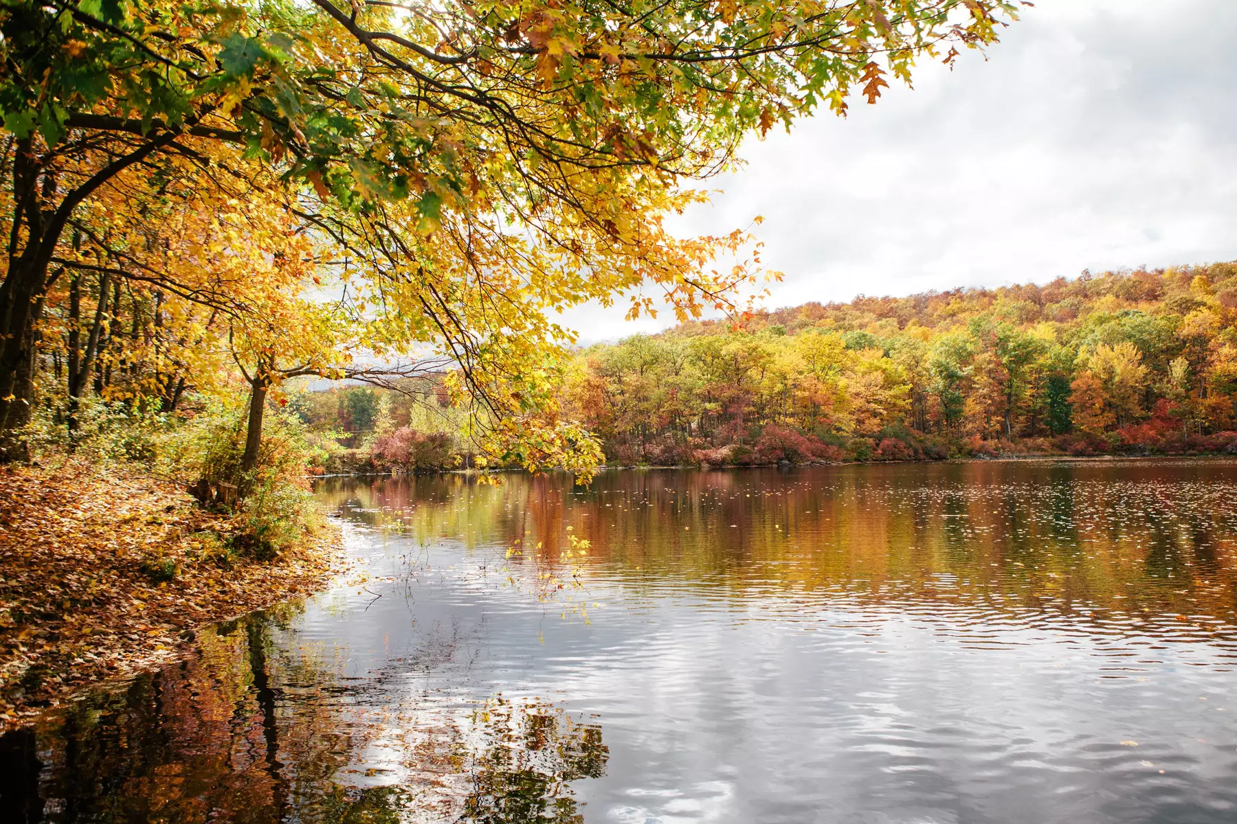 Jezero s jasnými podzimními barvami na stromech