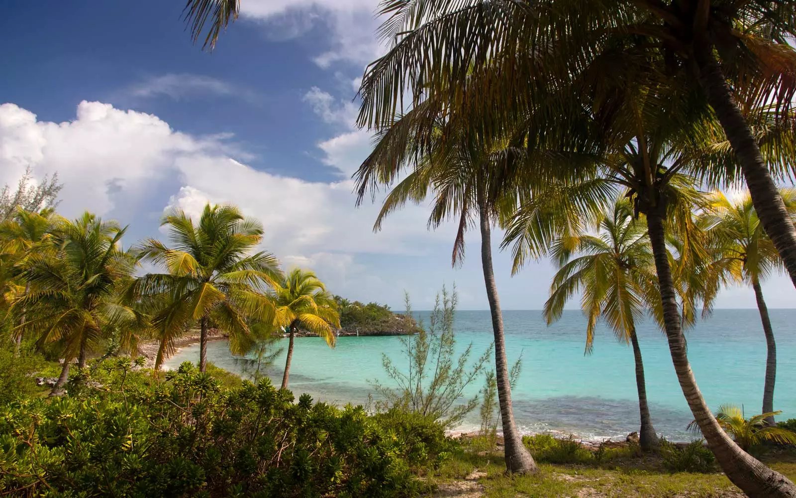 Het openbare strand van Oleander Gardens, Eleuthera-eiland, de Bahamas.