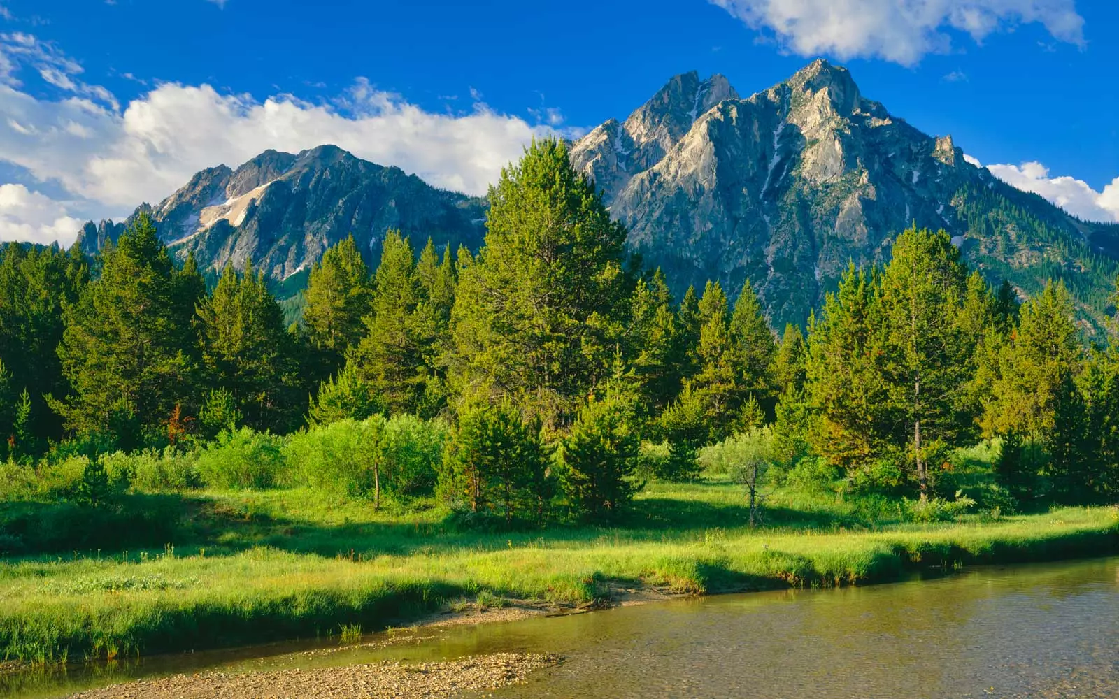 De Sawtooth Range sëtzt an der Distanz an enger Wiss, am Sawtooth National Recreation Area vu Stanley, Idaho.