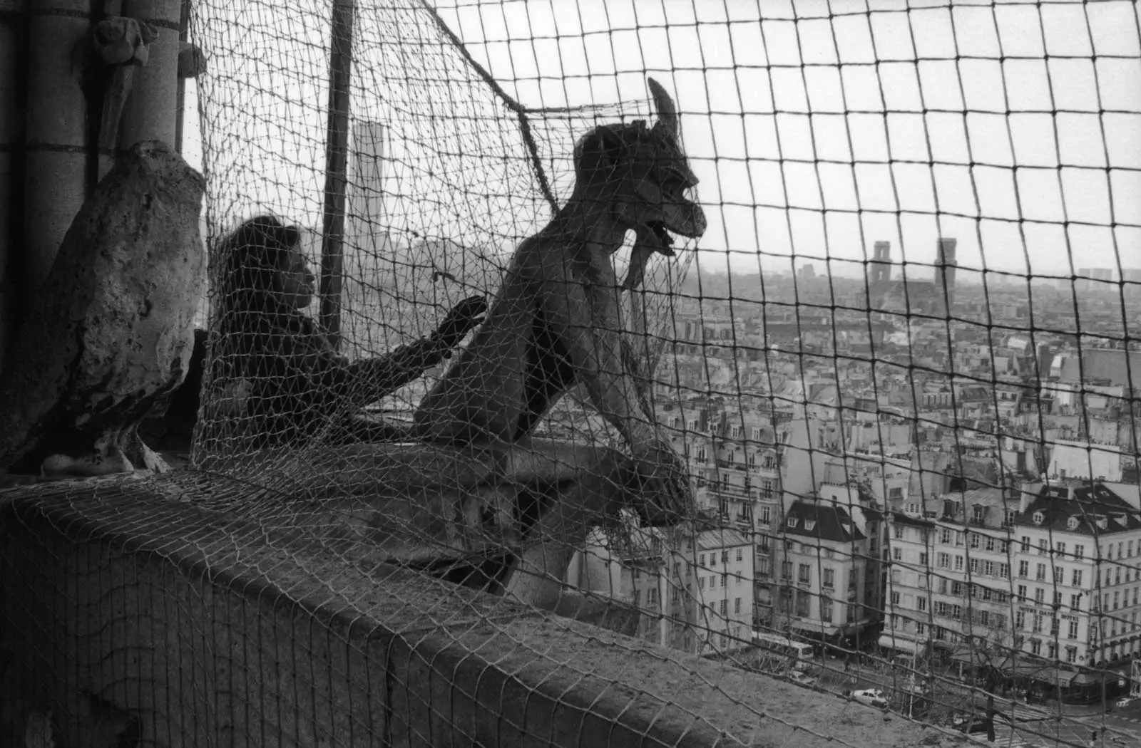 FRANCE - RRETH 1989: Paris, Francë në 1989 - Gargoyle në Katedralen Notre Dame nën një rrjetë.