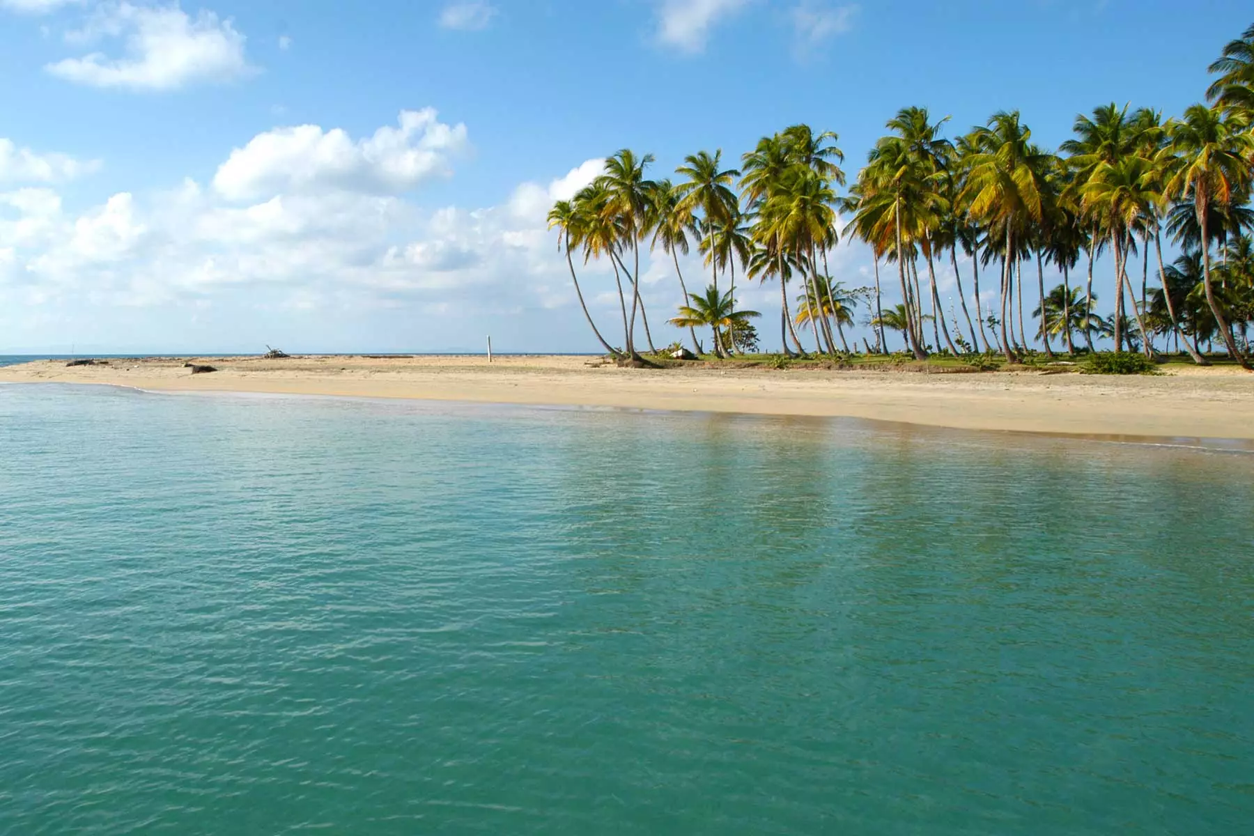 Gombe ku Punta El Rey pafupi ndi Miches ku Dominican Republic, madzi abuluu ndi mchenga wamchenga wokhala ndi mitengo ya kanjedza