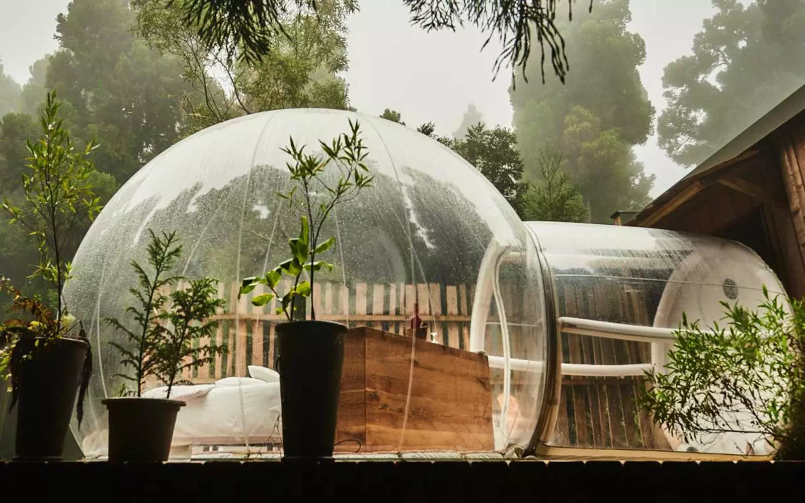 ເກາະ La Reunion, Clear tent