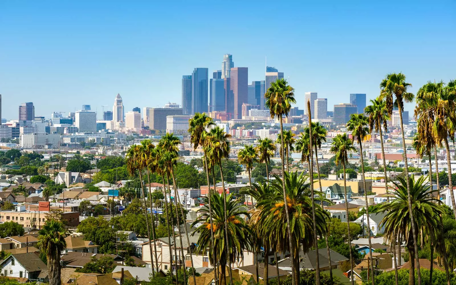 Skyline van Los Angeles, met palmbomen, op een zonnige dag