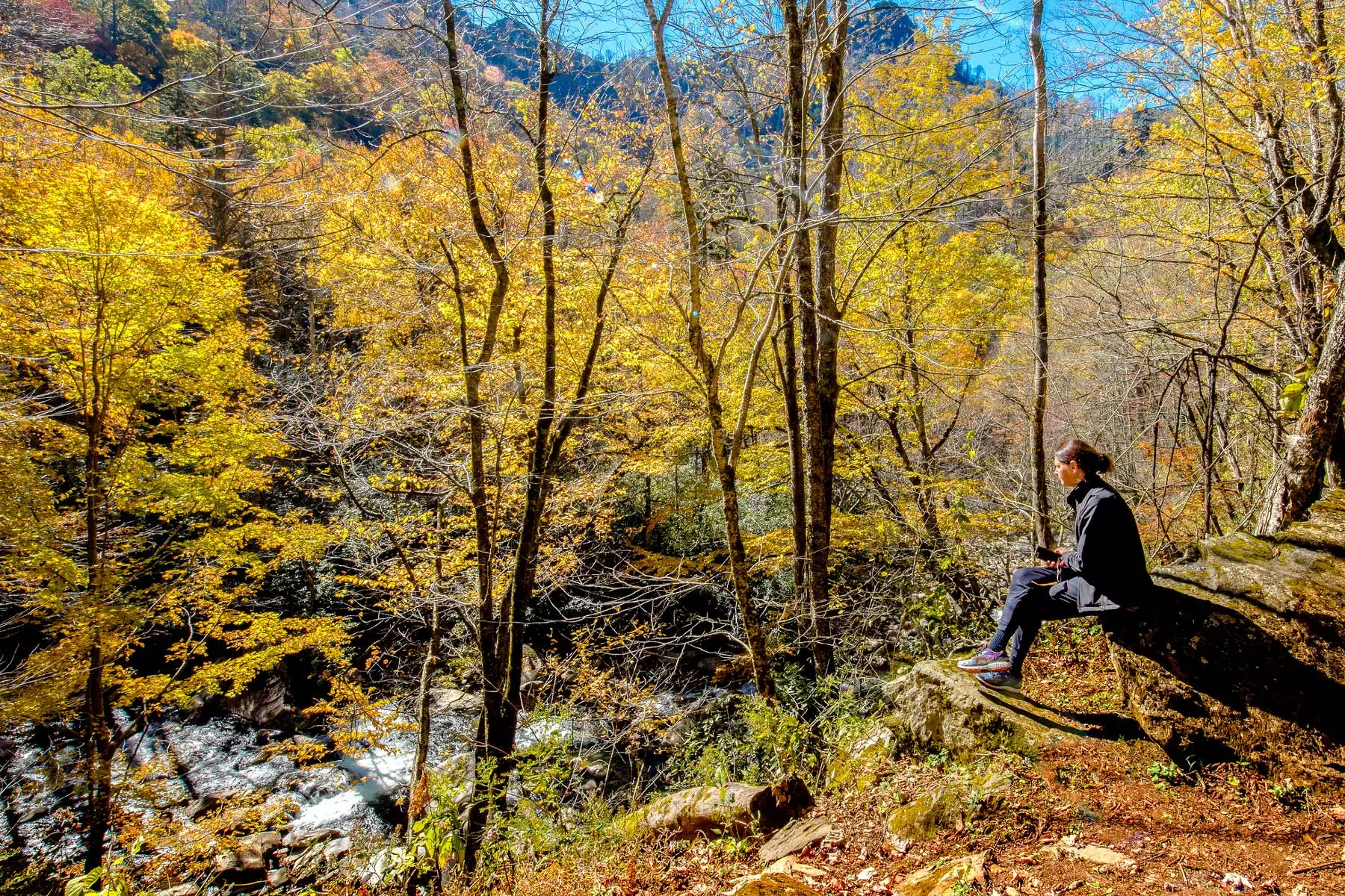 Mulher vendo o pico das cores do outono na área de Chimney Tops do Parque Nacional Great Smoky Mountains, no Tennessee, EUA.