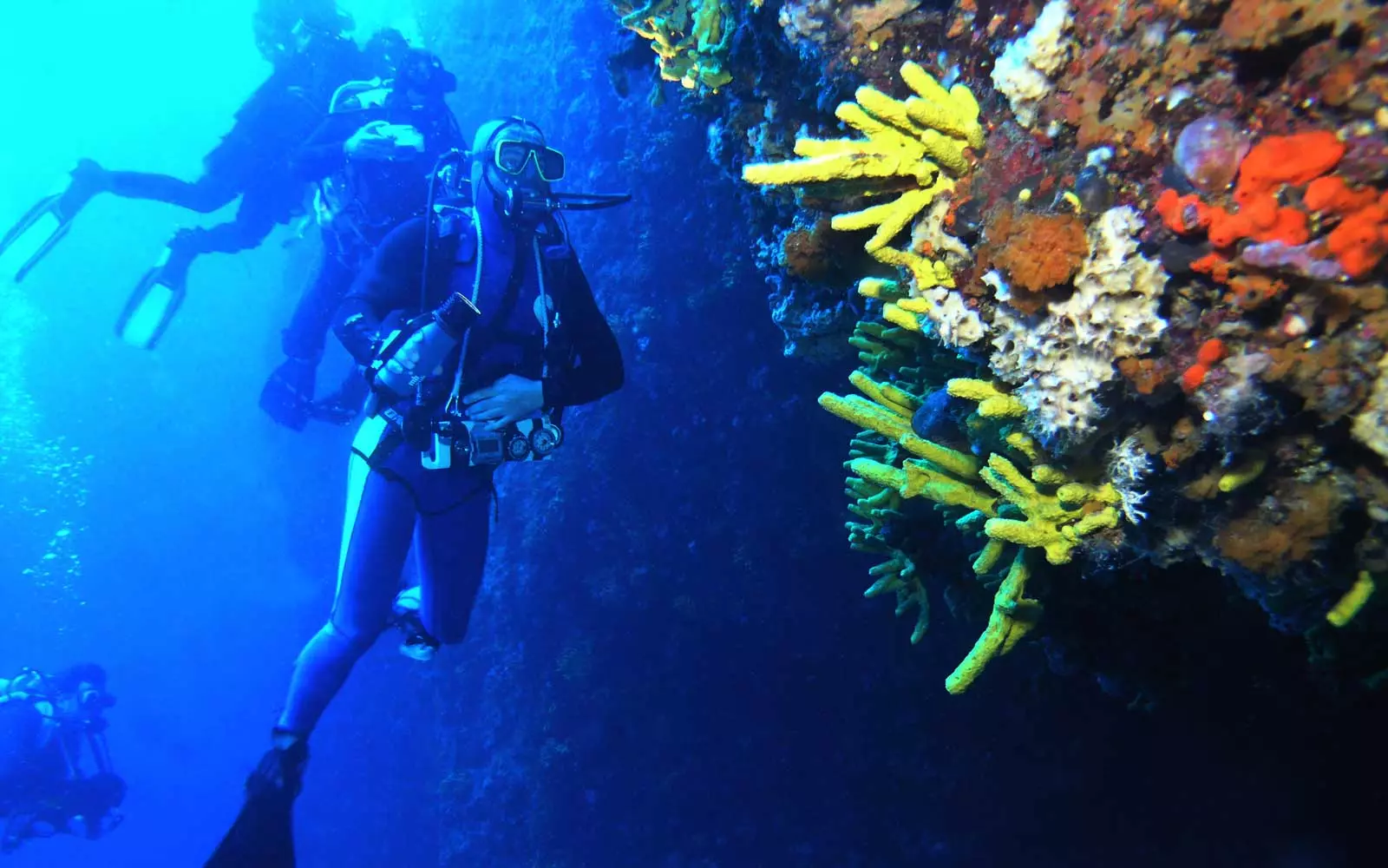 Šolta, Croacia - buceo