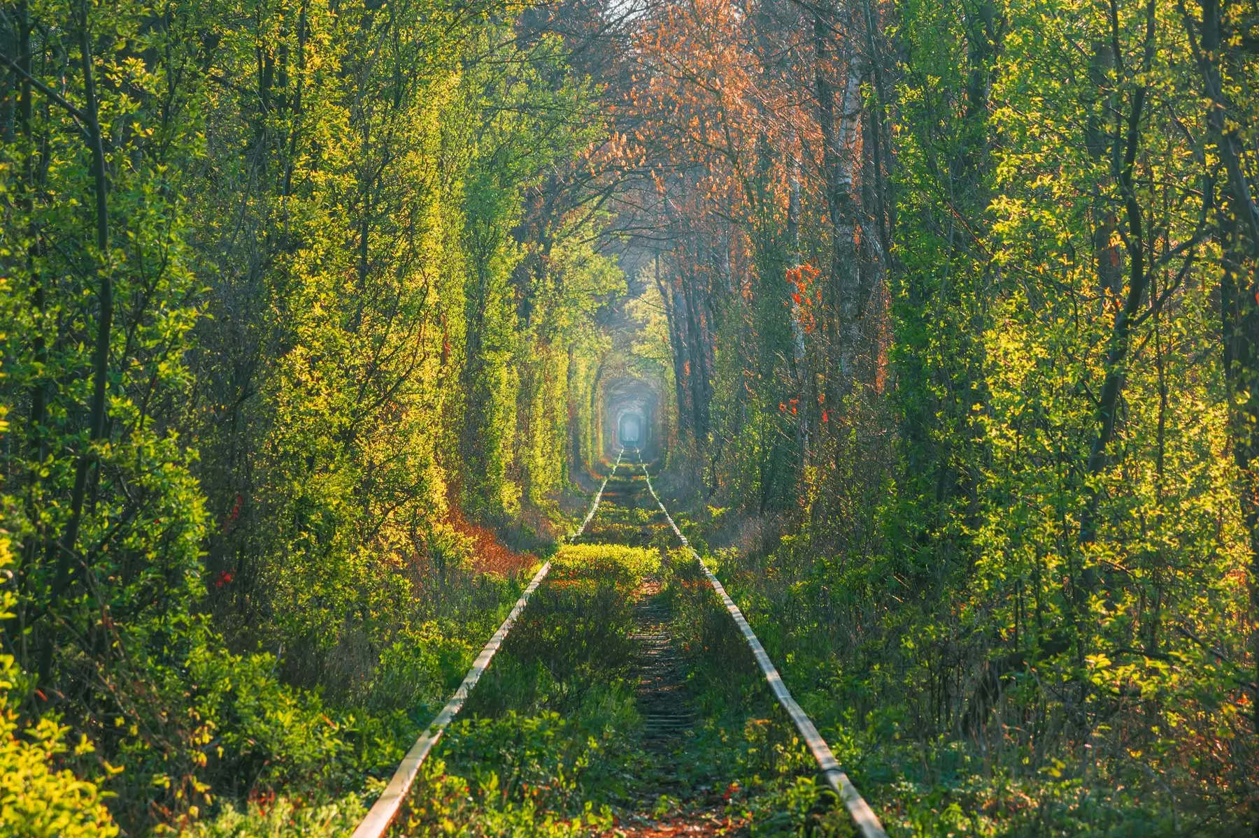 Mañana de primavera en Túnel del amor. Klevan, Ucrania