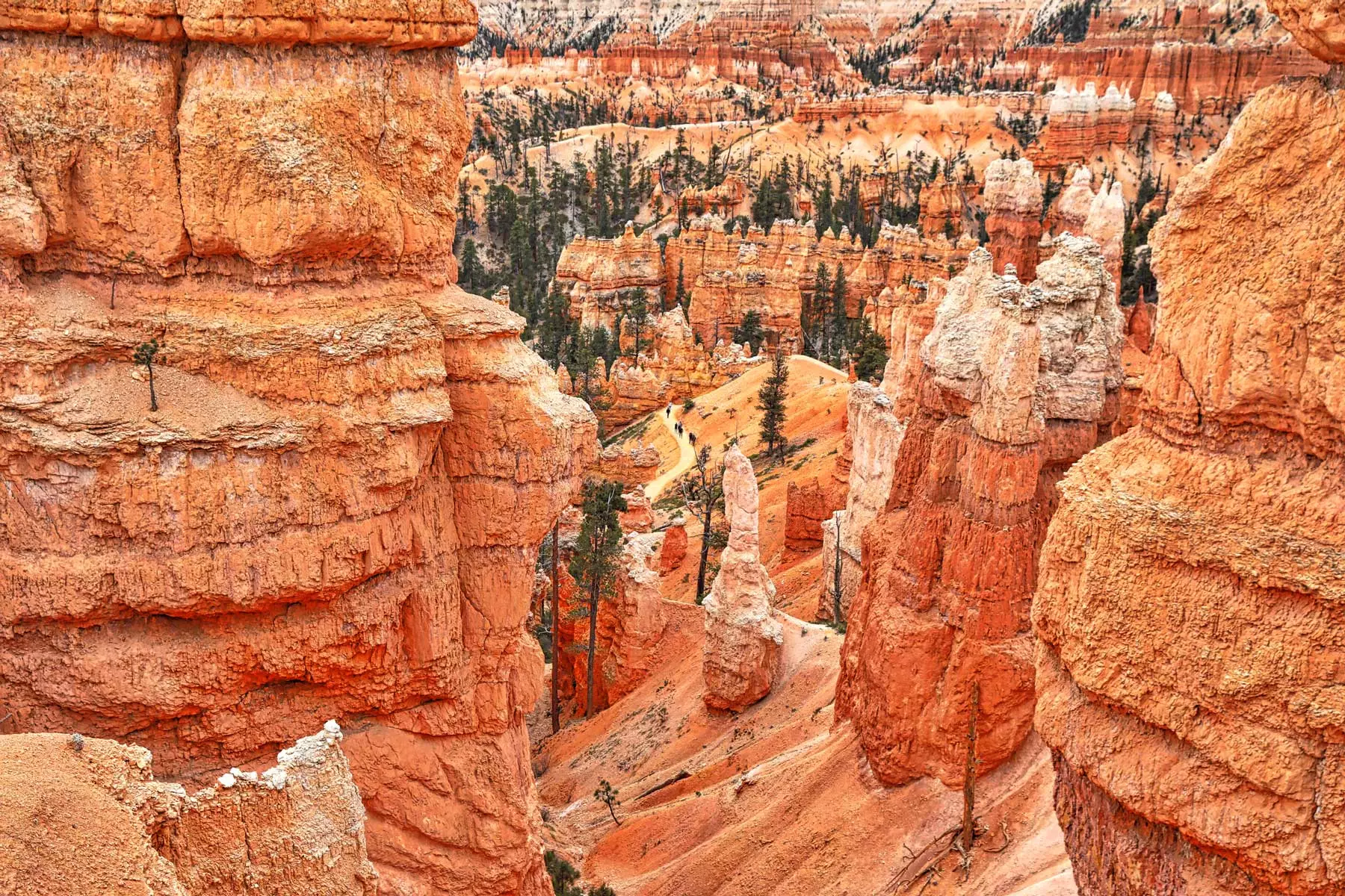 Senderismo en el Parque Nacional Bryce Canyon en Queens Garden Trail.