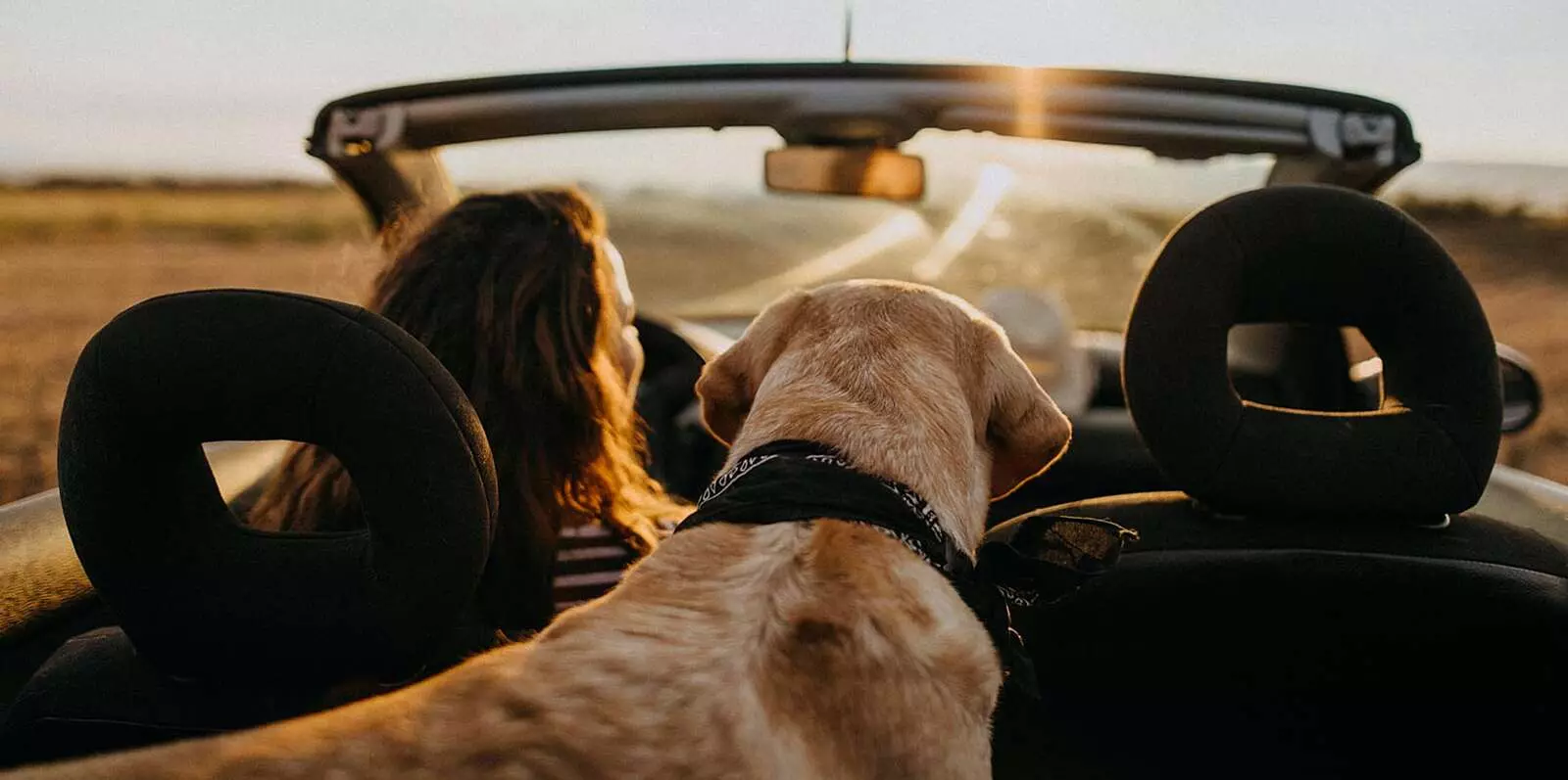 8 meilleurs road trips de week-end à faire cet été