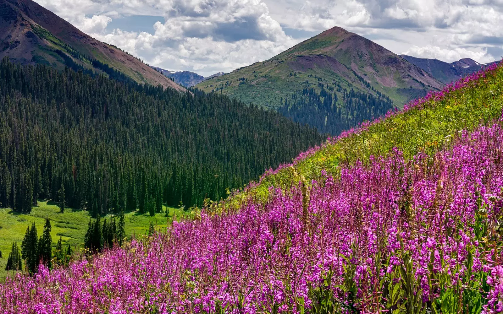 Aspen, Kolorado