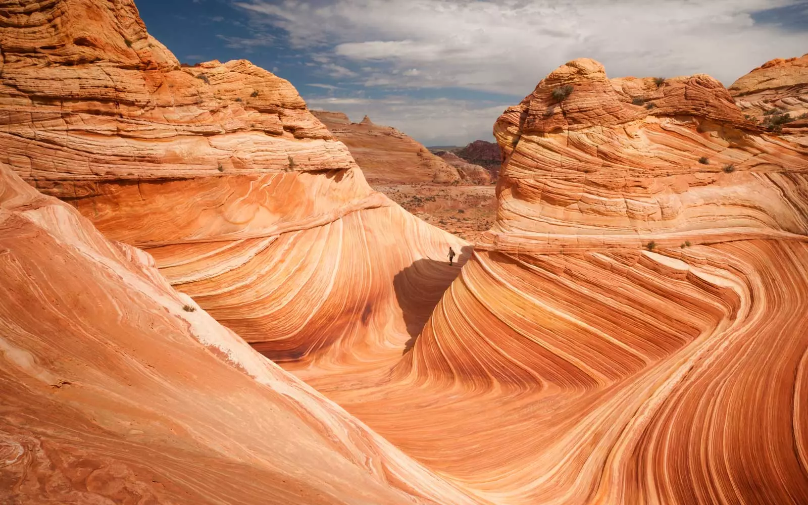 Wave, North Coyote Buttes, Vermillion Cliffs, Аризона