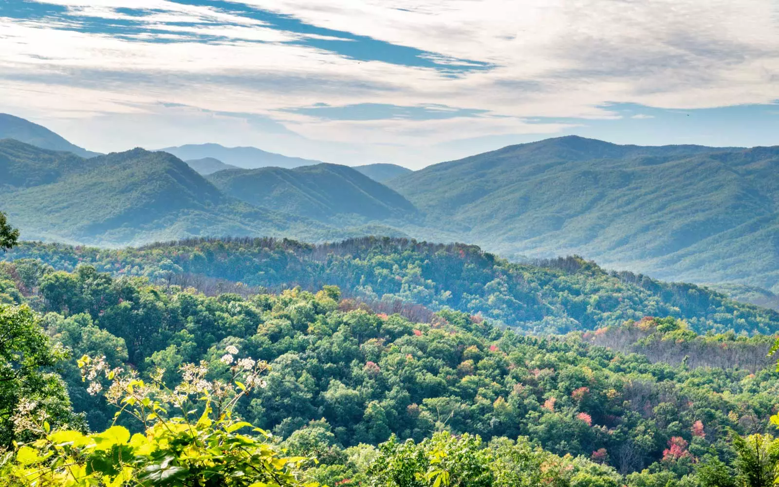 Shanyira U.S. National Parks