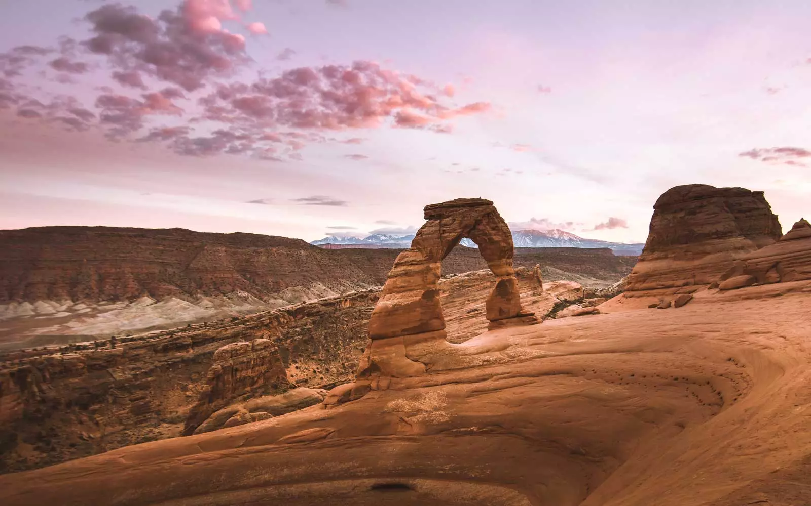 Asiasi i U.S National Parks