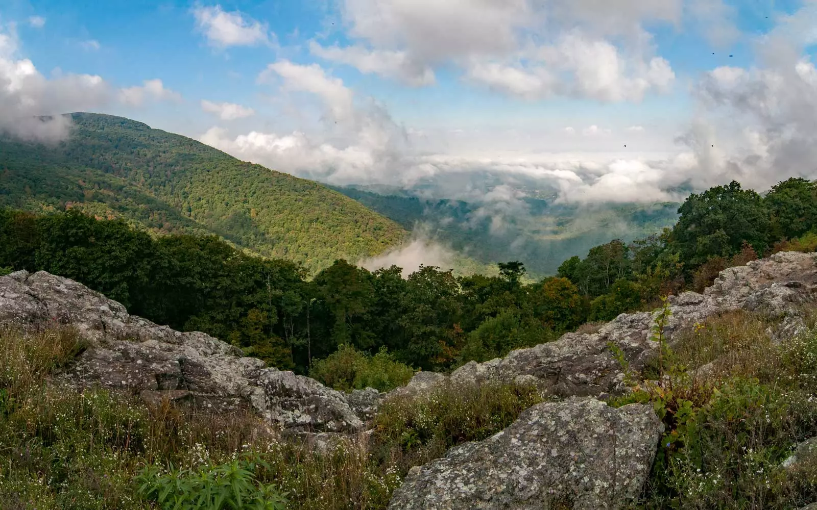 Vakashela i-U.S. National Parks