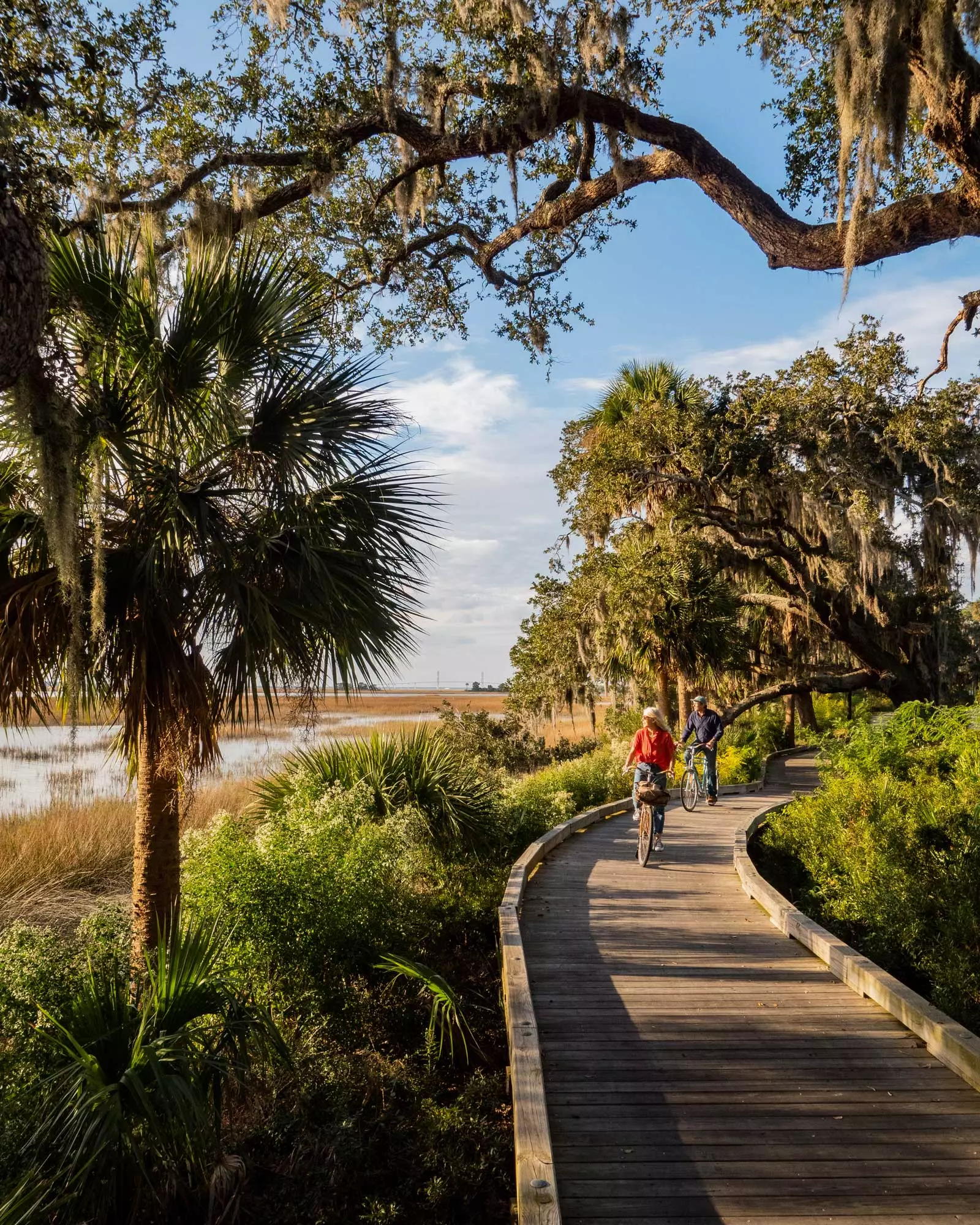 Biking ing dalan mancal ijo gembur ing Jekyll Island, Georgia