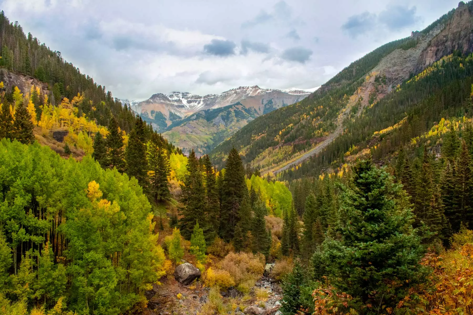 Udazkenean zuhaitzak eta mendiak Telluride-n, Coloradon