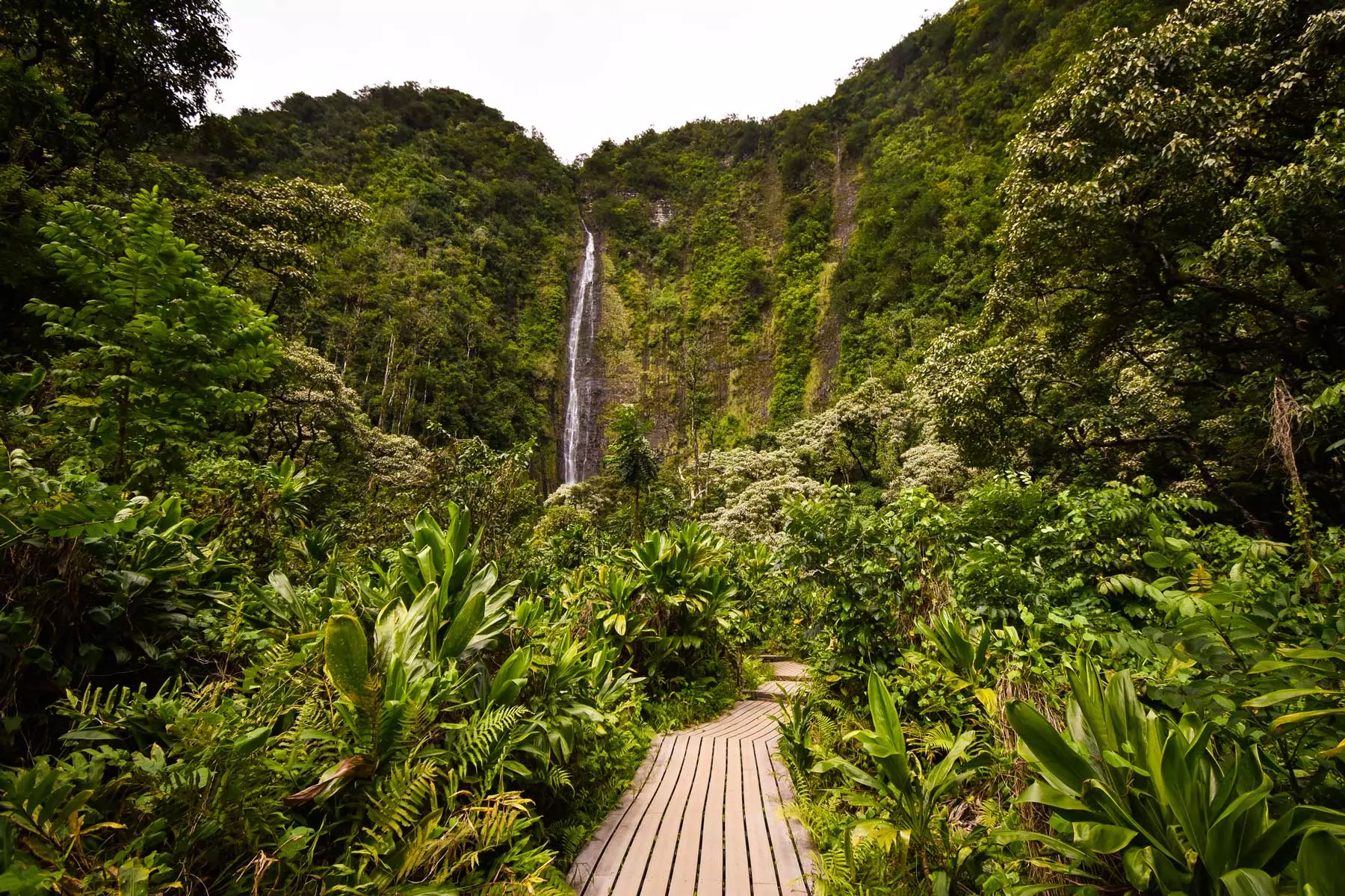 Afara ẹsẹ onigi ni igbo igbona ti o ti poju si isosile omi Makahiku ni Maui, Hawaii