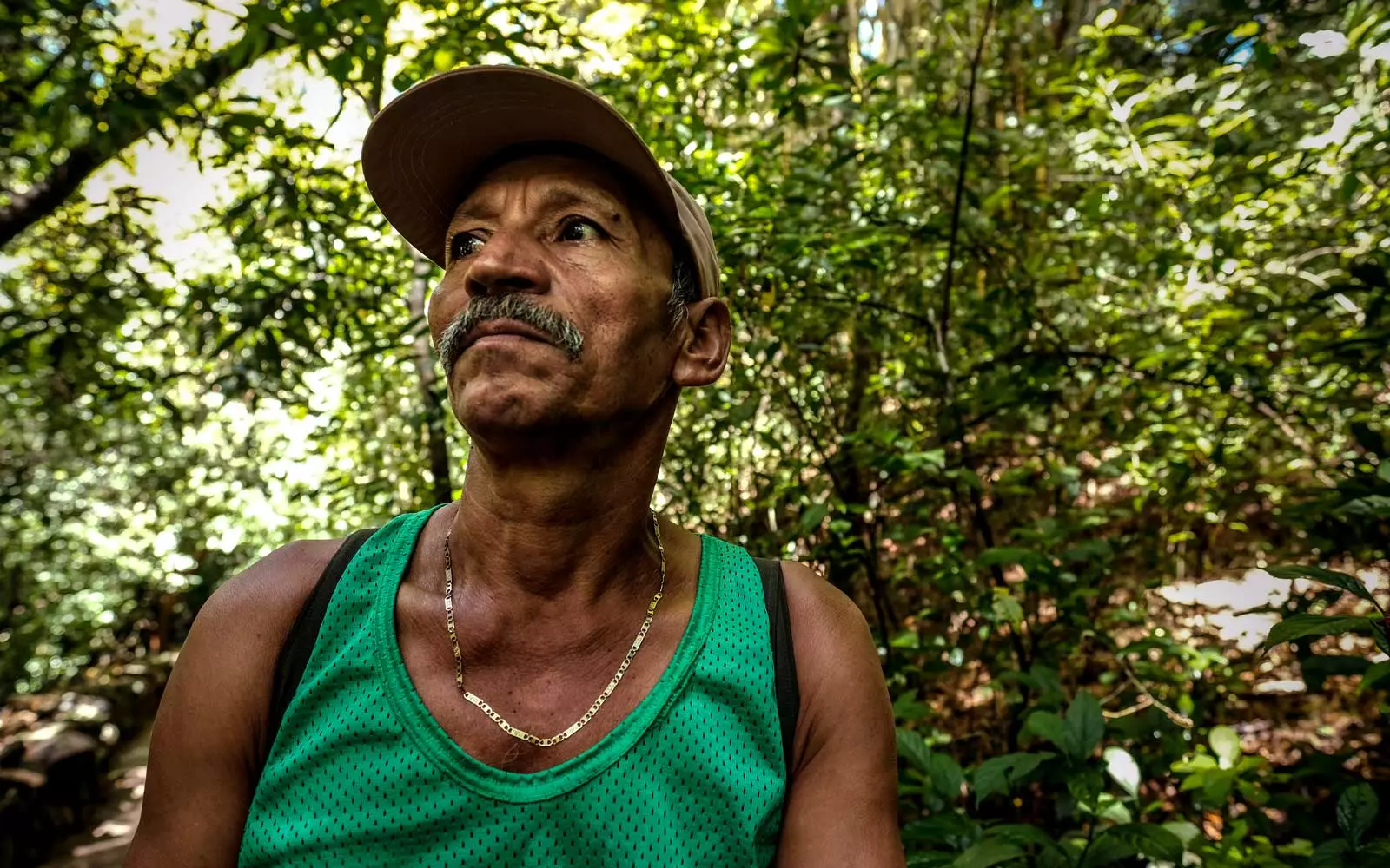El Salvador, Panduan Hutan Cinquera, Rafael Hernandez