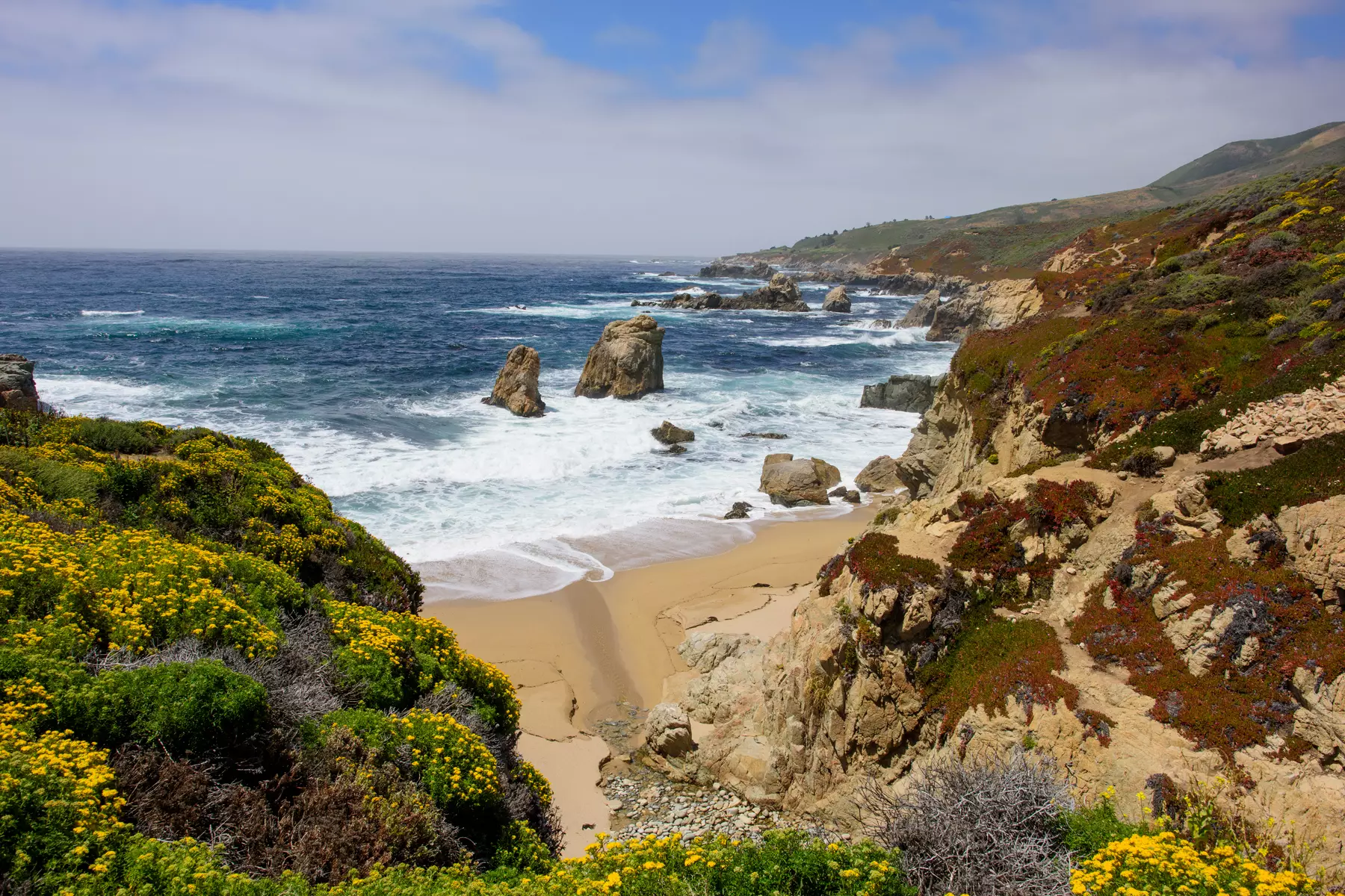 Pemandangan pantai Big Sur dengan bunga dan tebing berbatu