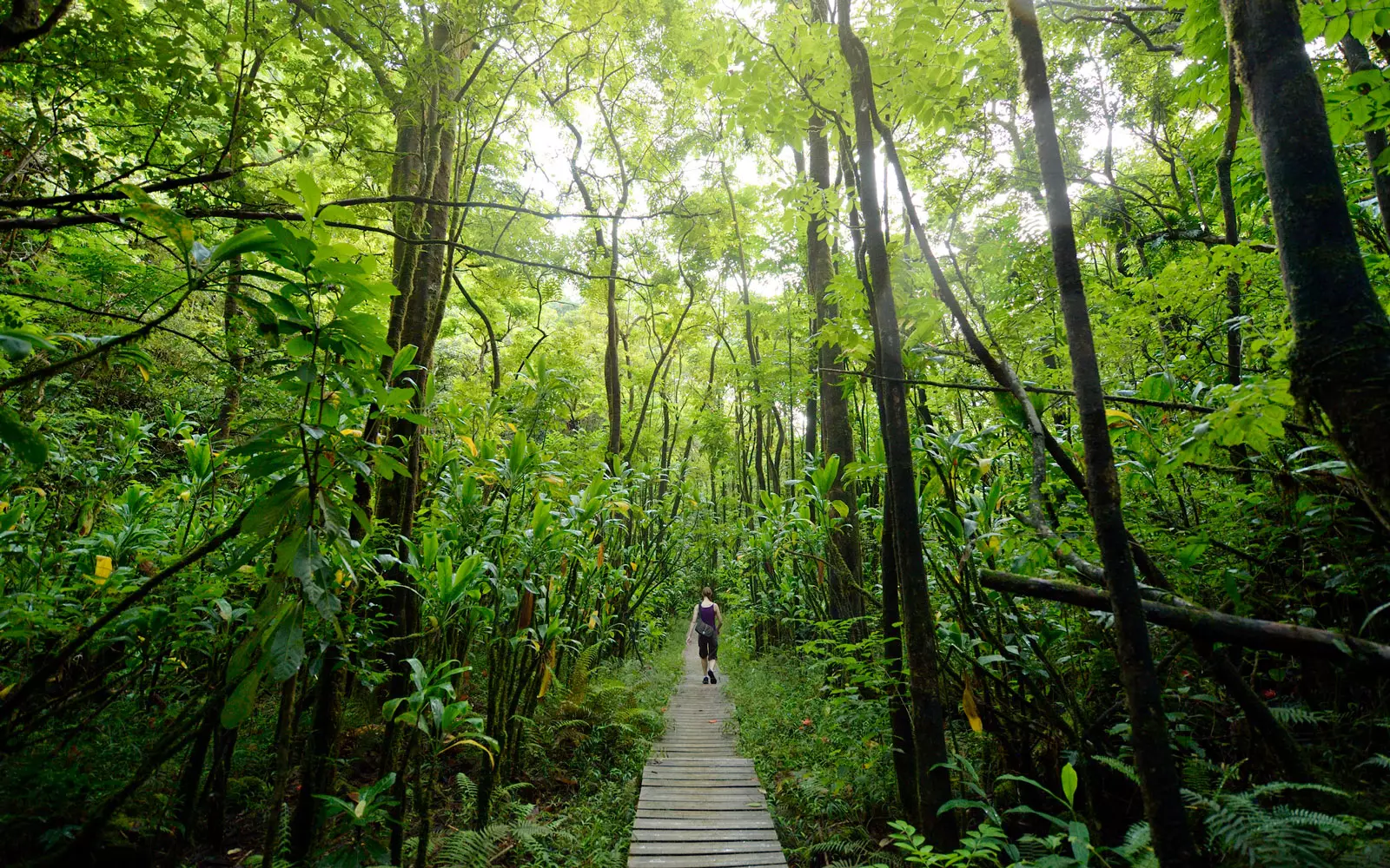 Pipiwai trail Maui