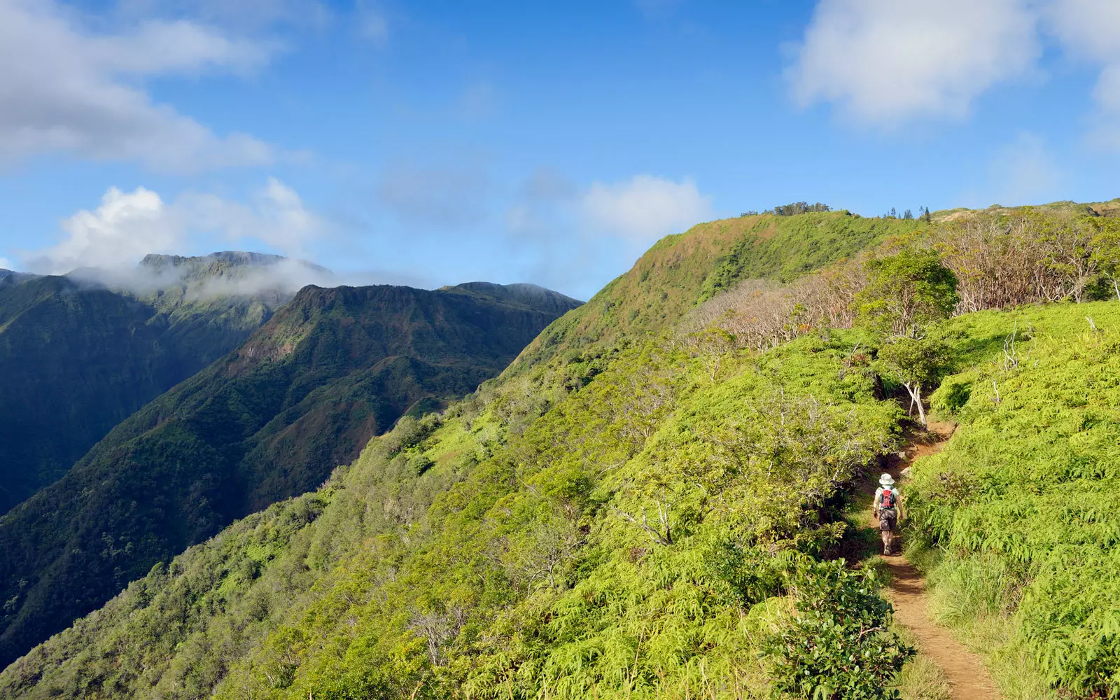 Waihee Ridge Trail