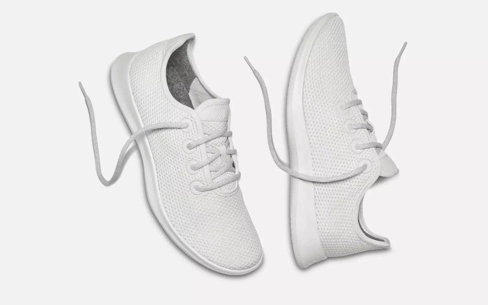 allbirds tree sneakers