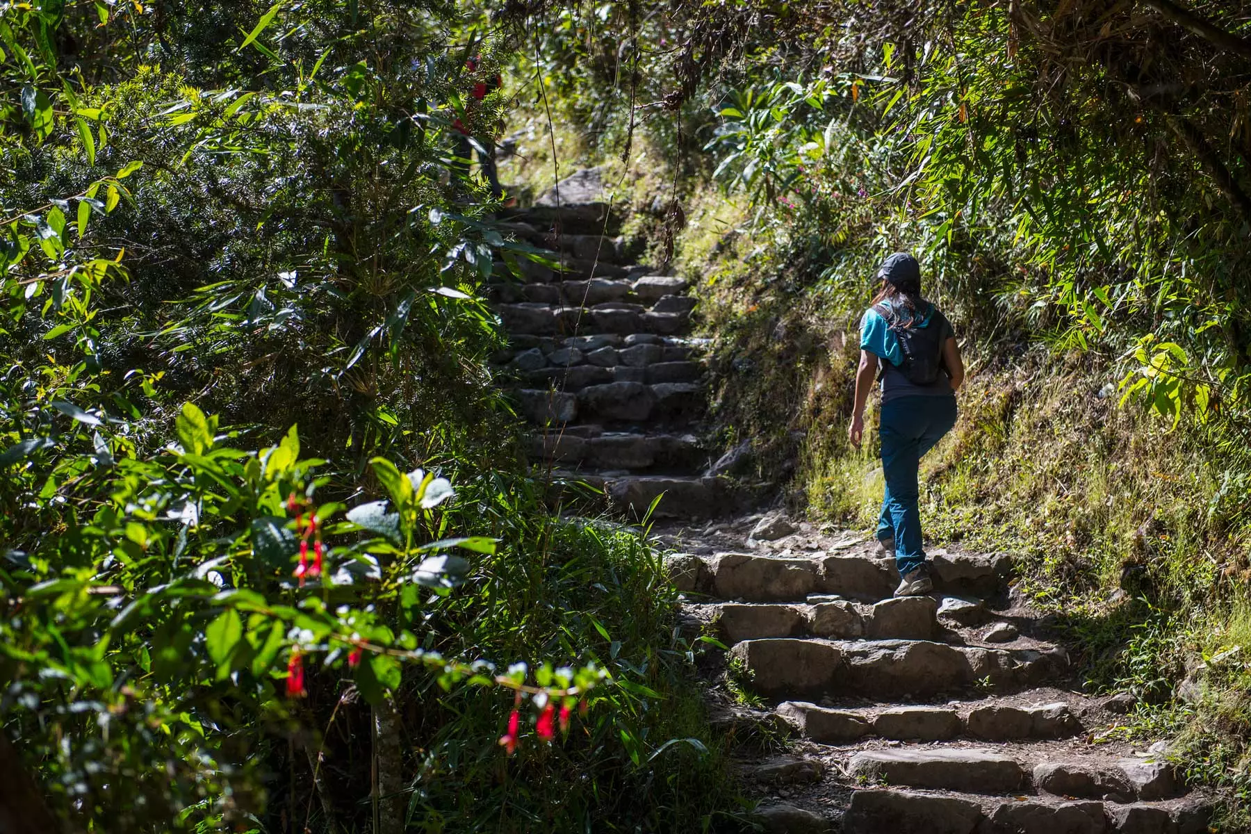 Vrouw gaat de trap op op de Inca Trail dichtbij Machu Picchu