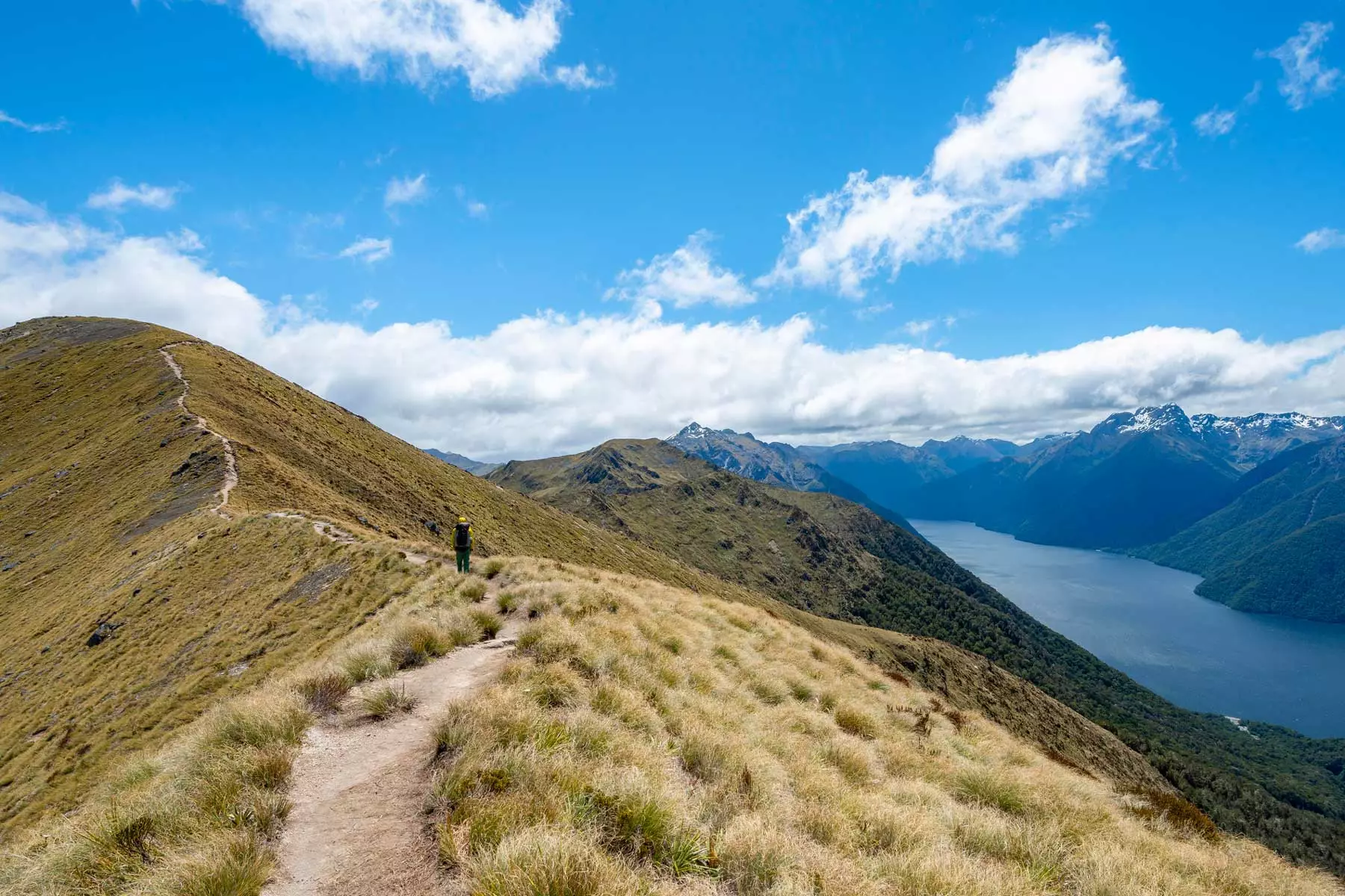 Hiker على مسار Kepler ، منظر لجنوب Fiord لبحيرة Te Anau ، وجبال Murchison وجبال Kepler في الخلف ، Great Walk ، منتزه Fiordland الوطني ، ساوثلاند ، نيوزيلندا