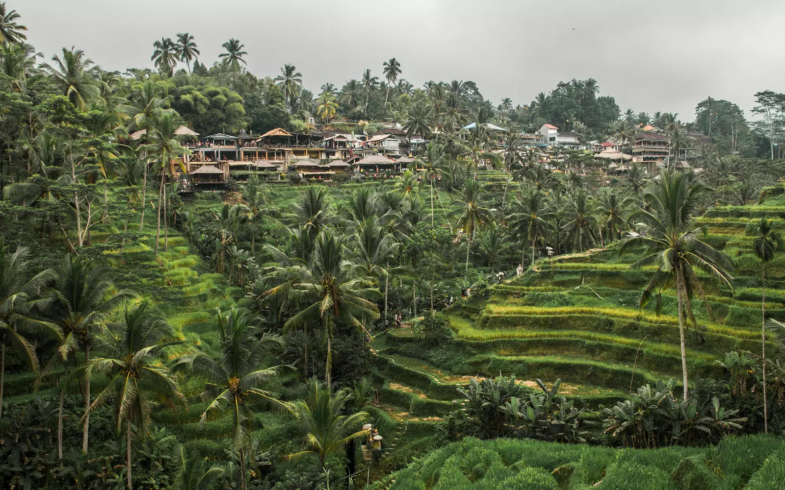 Bali, Yndoneezje